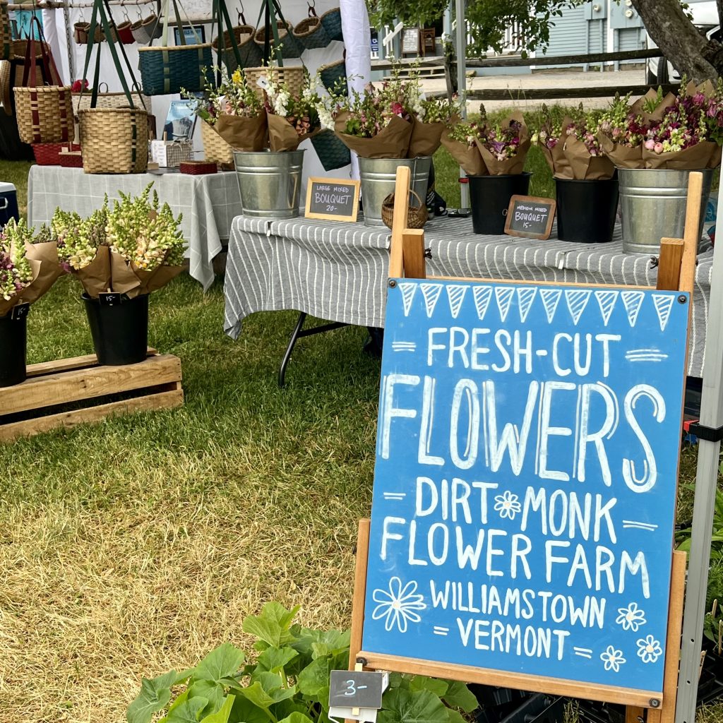 Terrific Ideas for an Active Vermont Summer Vacation - The Good Natured ...